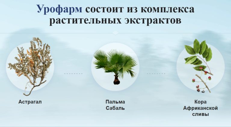 Урофарм цена таблетки купить в Аптеке для всех отзывы